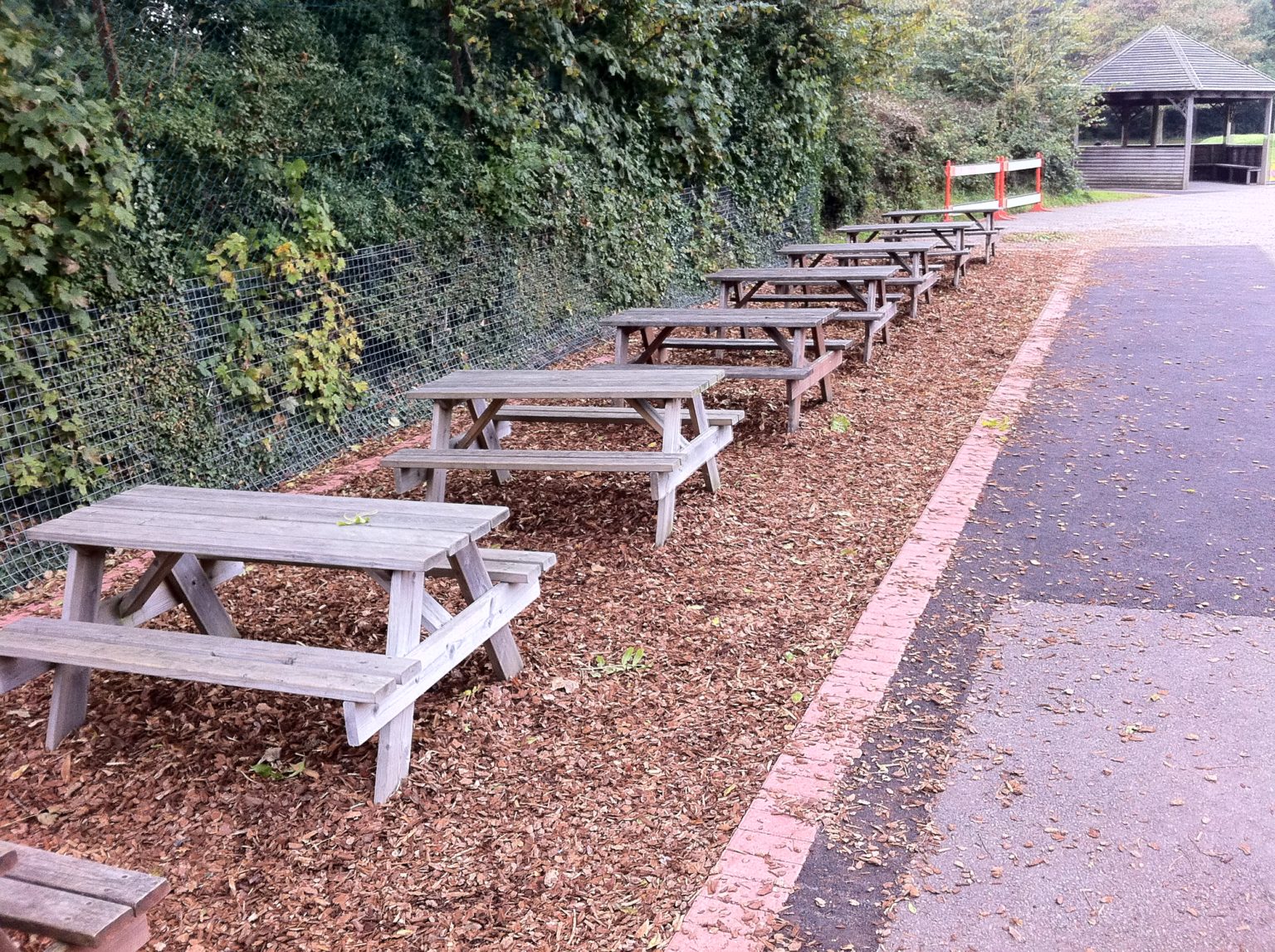 Merry Hill School, Bushey | Ekins Builders